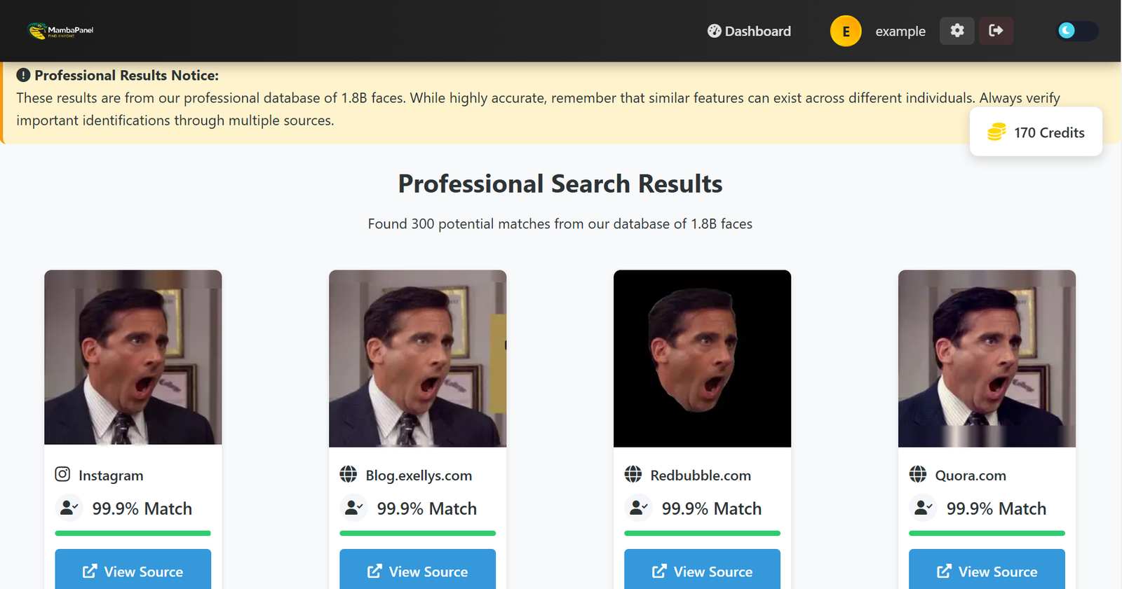 MambaPanel: #1 Facial Recognition Search Engine | Find Anyone Online